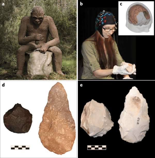 Human Evolution: Stone Tools Used by Early Humans and Monkeys | Trendybitz