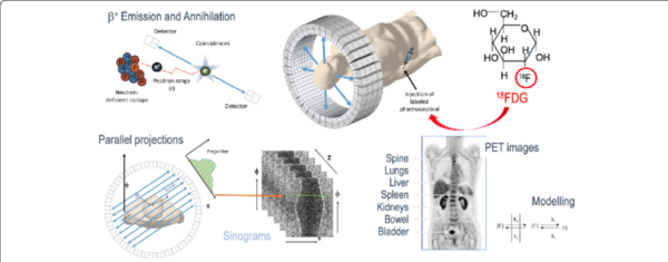 How PET Microchip Work: A Journey into Medical Imaging Innovation ...
